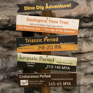 Dino Dig, Fossil Museum | Broken Bow & Hochatown, OK | Beaver's Bend ...